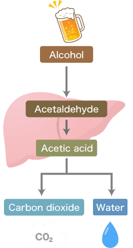 Hangovers｜Goreioge Supporting the tomorrow of alcohol lovers｜JPS ...